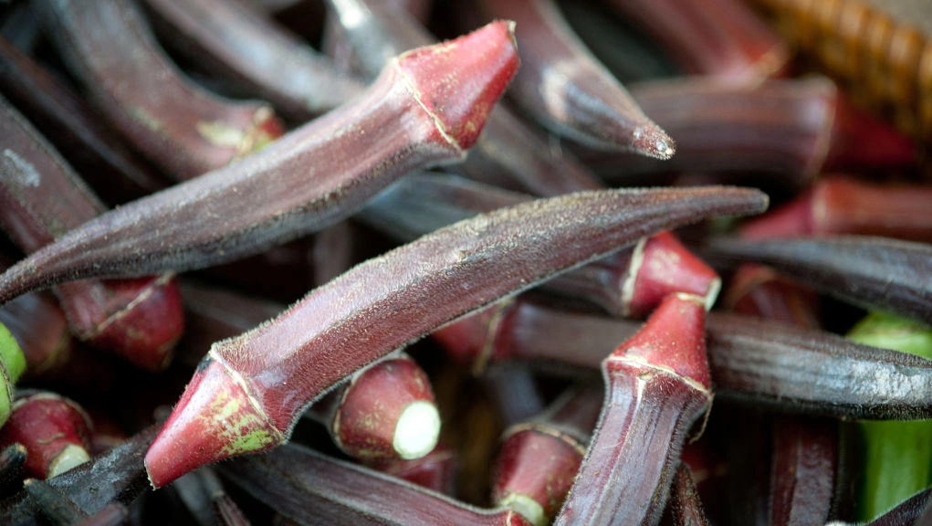 Is okra water worth the hype or just slimy tea?