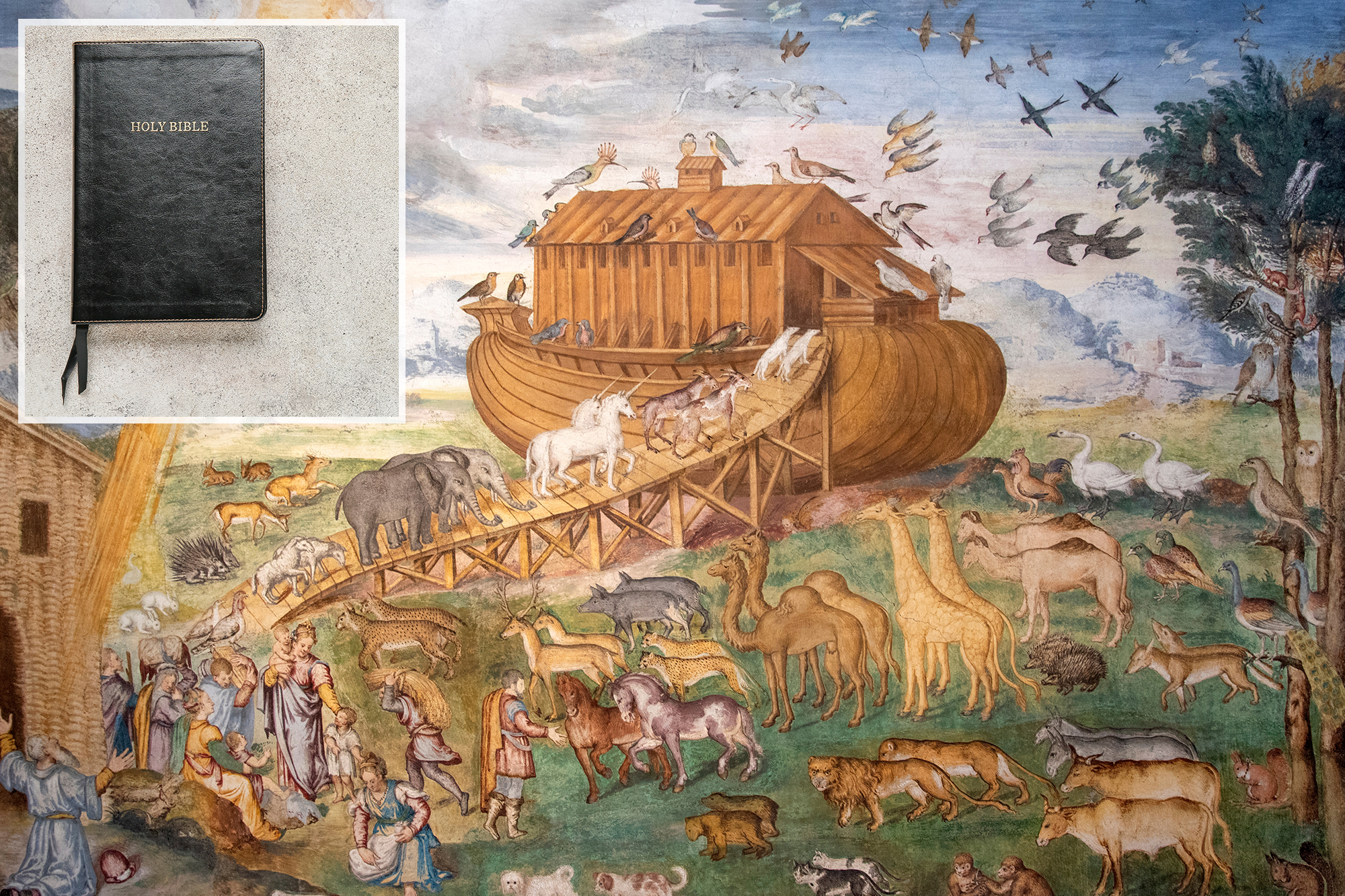 Ancient fossilized trees may finally prove Noah’s Ark flood is true ...