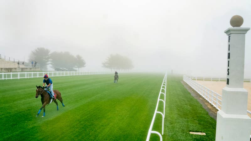 Fair Hill cancels Sunday card after heavy rain