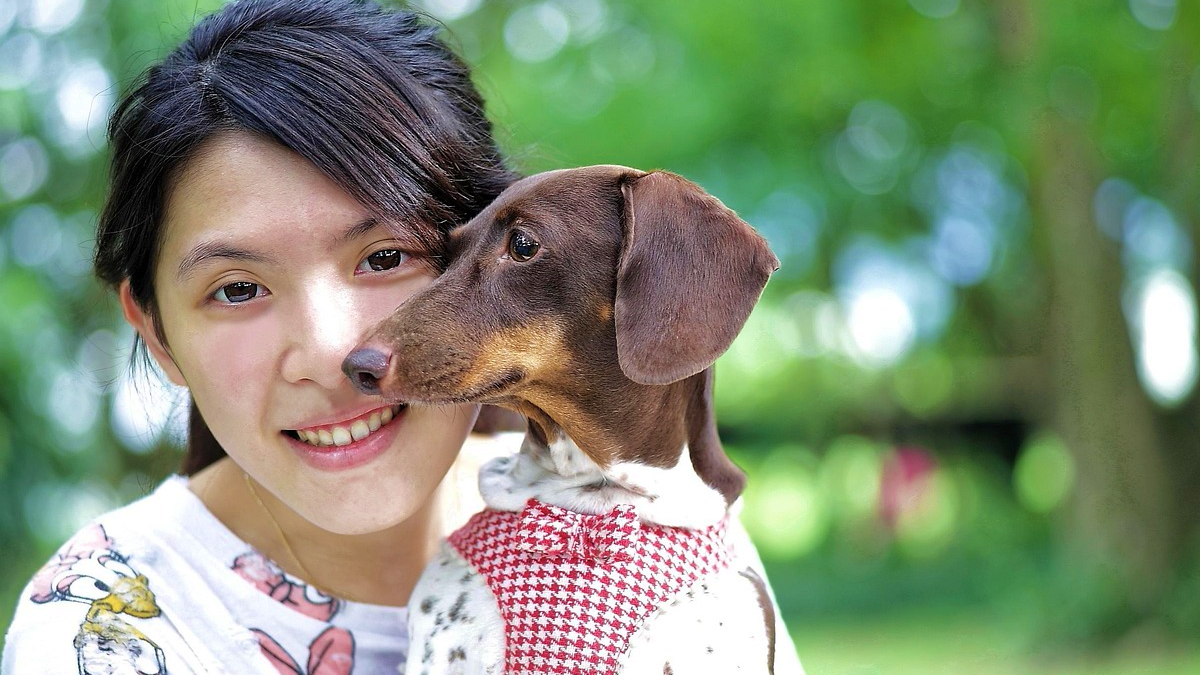 What a dog really feels when you hug it, according to research