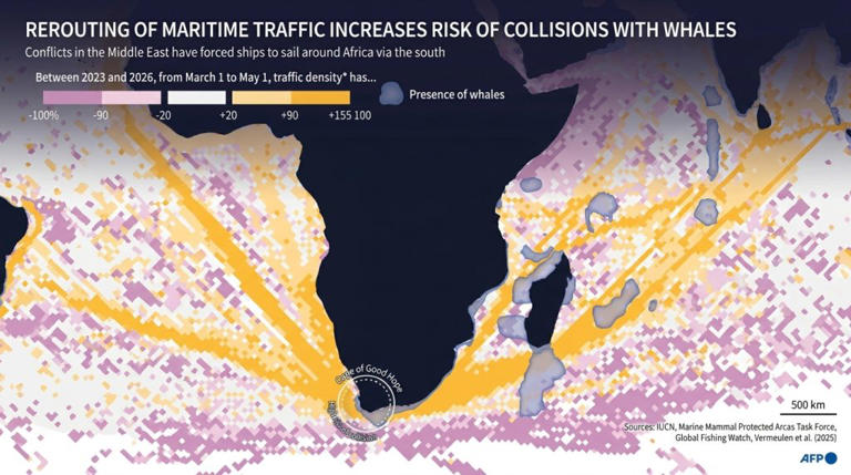 Shipping routes changed overnight and whales off South Africa are now ...