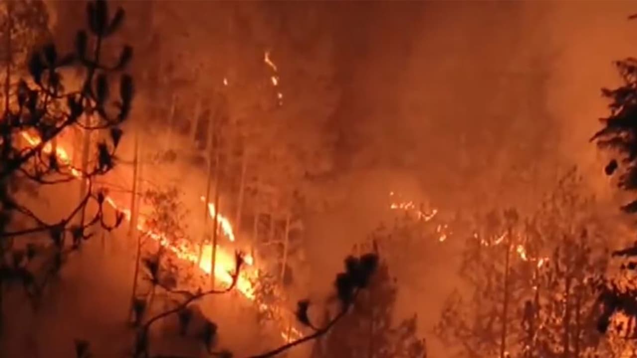Massive fire in Uttarakhand's Tehri Garhwal forests engulfs 14 hectares