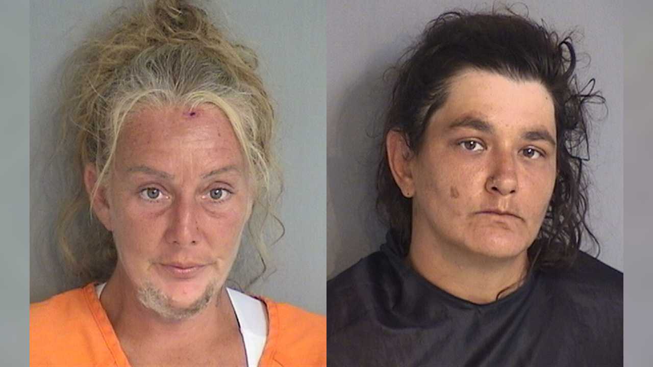 Women arrested after 24 dogs found in vehicle, Kissimmee police say