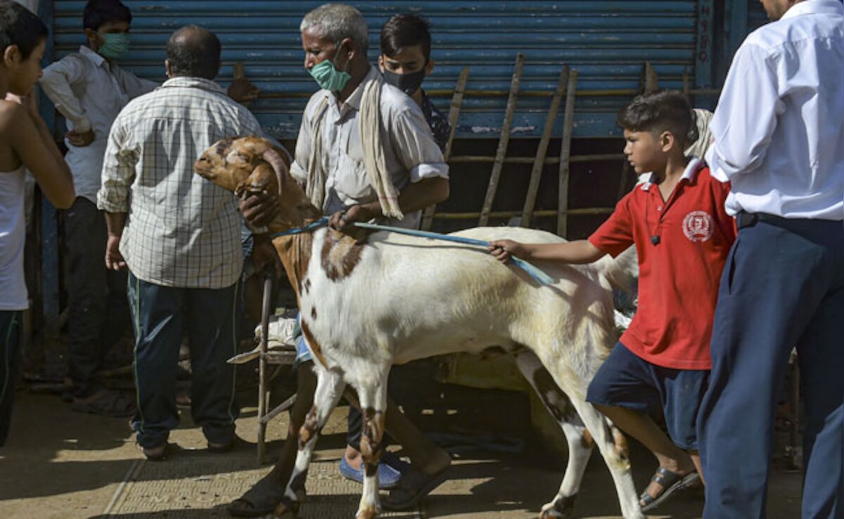 Refrain from cow slaughter: Assam Eid committees ahead of Bakri Eid