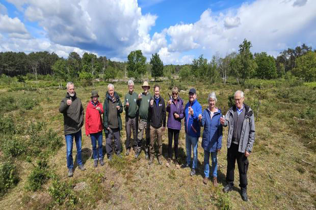 Air quality testing targets action to protect Dorset’s precious heathlands