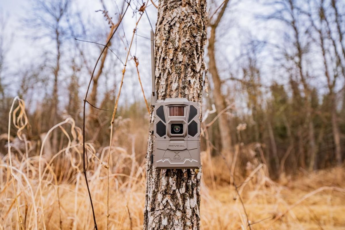 12 trail cameras that serious hunters are switching to this season