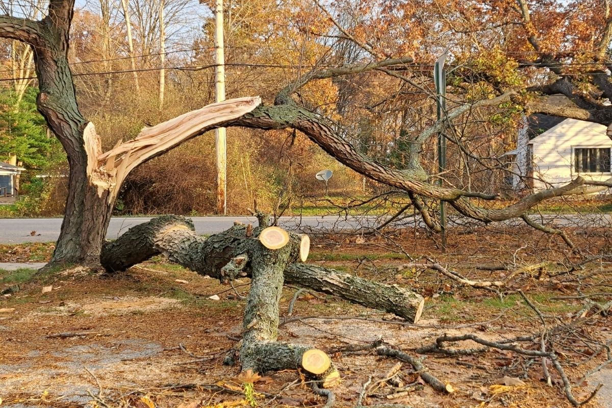 Tips for safer cleanup after a storm