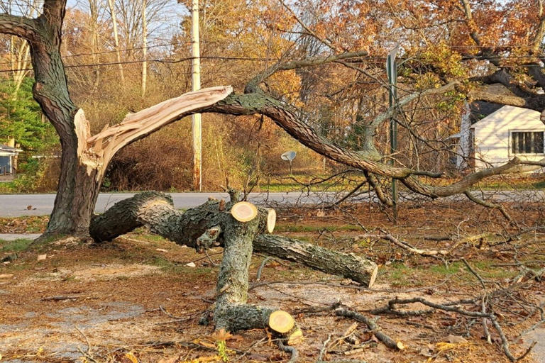 Tips for safer cleanup after a storm
