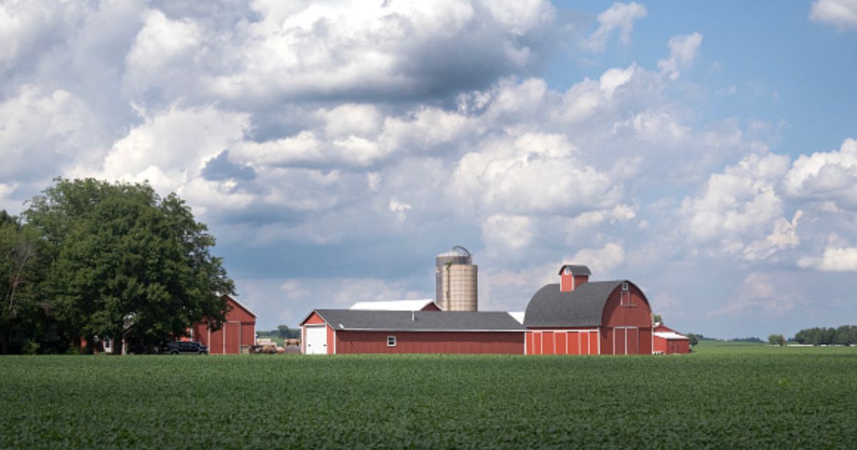 What one Illinois town says about the current state of America