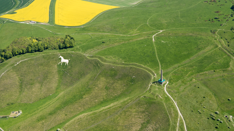 People create human chain to restore white horse