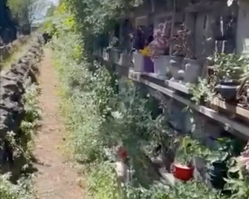 Loculi sommersi e lapidi cancellate: (Video) shock documenta la ...