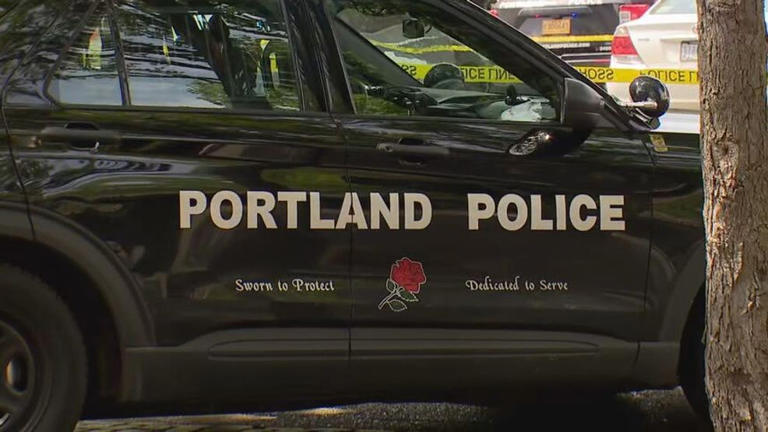 Portland police seek tips after more than two dozen rounds damage ...