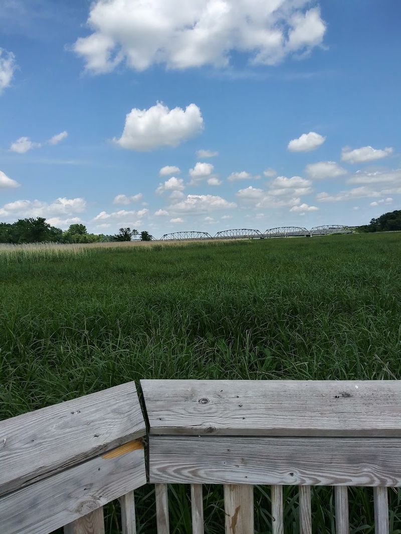 The Minnesota wetland trail where birds act like you’re invisible
