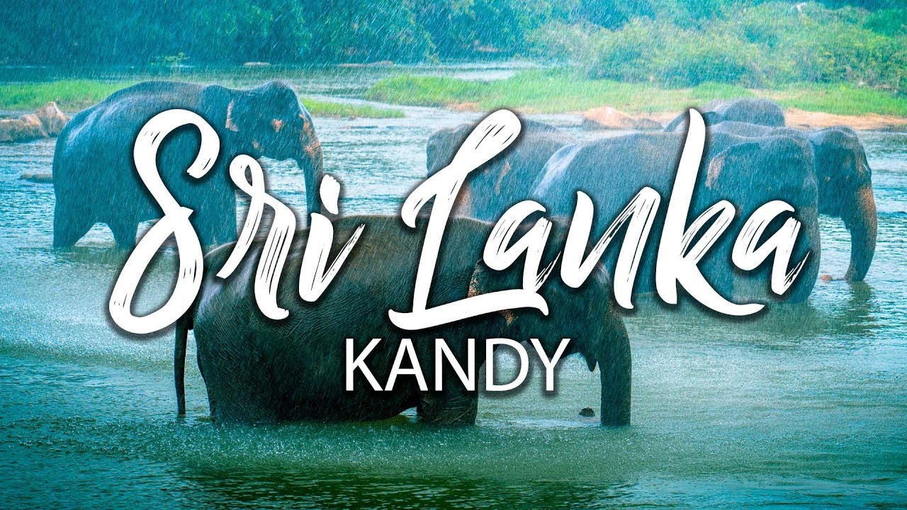 A tuk tuk ride through breathtaking landscapes