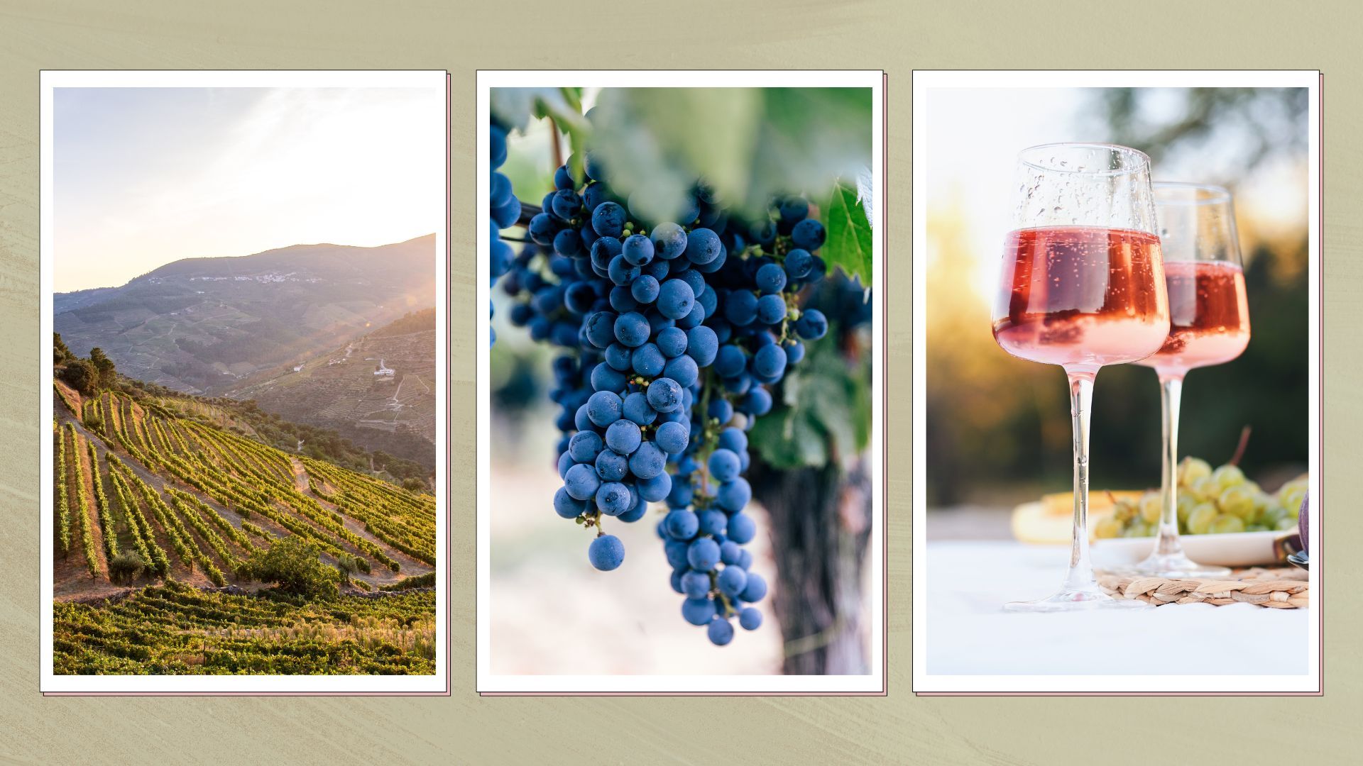 Delicious wines to enjoy when it's cold outside (and no, they're not ...