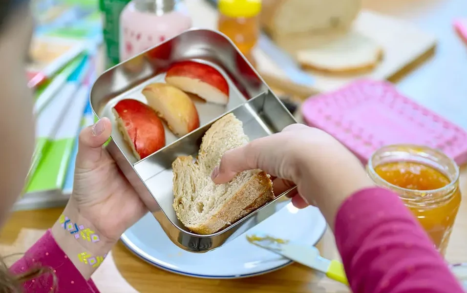 Snack box ideas your kids will love