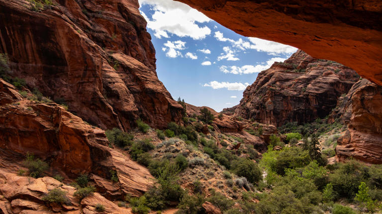 Utah's vibrant red rock conservation area has Zion vibes with few ...