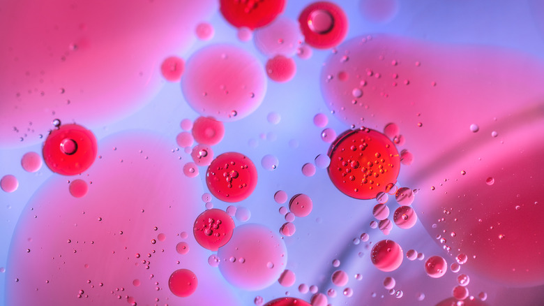 When you get a fever, this is what happens to your body