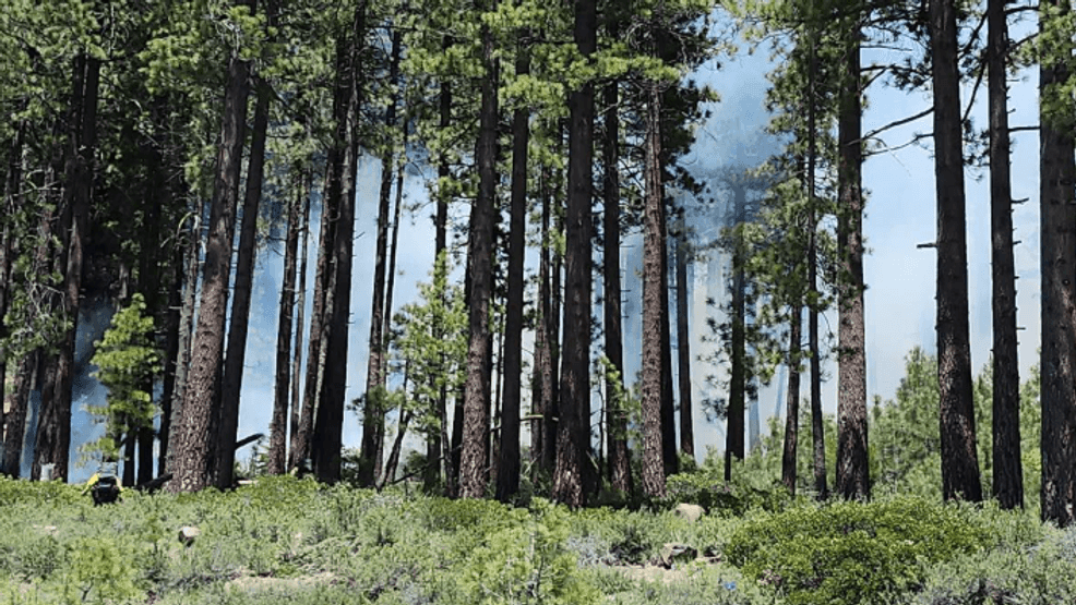 Vegetation fire behind Truckee Safeway contained; man arrested on ...