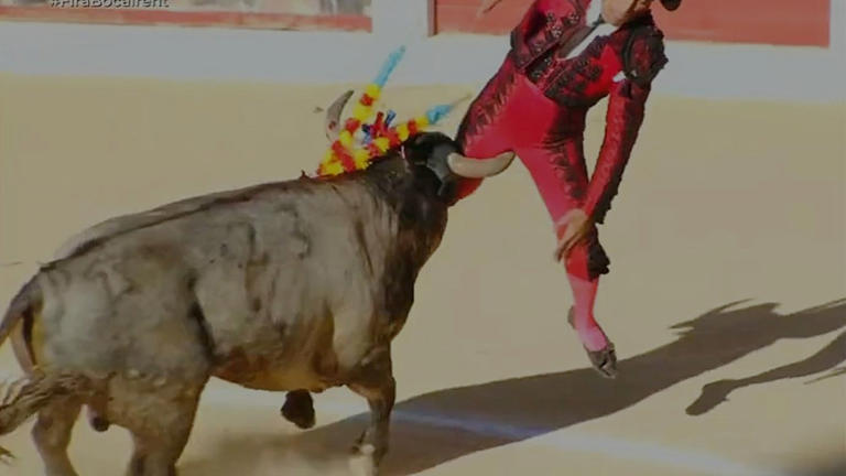 Fernando Sánchez sufre una cornada inguinal de un «victorino» en la ...