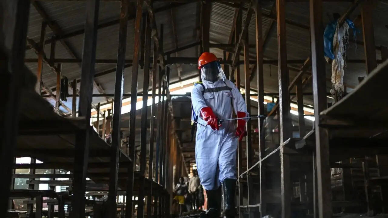 867 cases, 204 dead, no vaccine: Ebola outbreak spirals in DRC; Uganda ...
