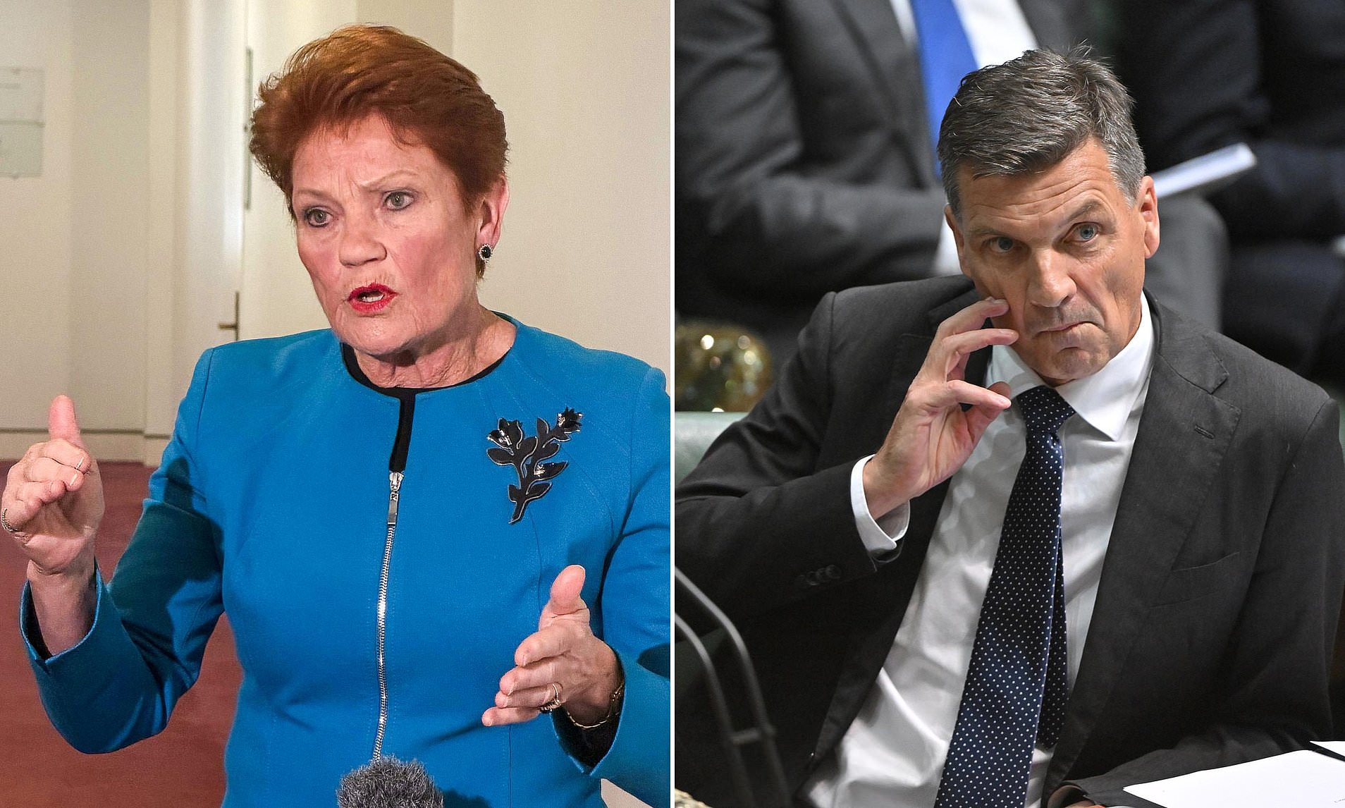 Poll predicts Pauline Hanson's One Nation could become official opposition