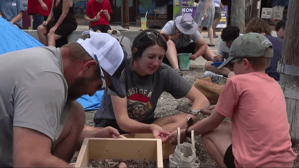 Aurora Fossil Festival marks 30-plus years, drawing visitors nationwide ...