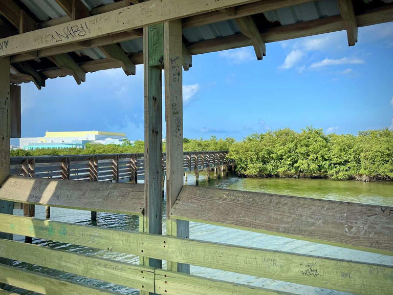Popular Texas beach named No. 1 affordable family vacation spot for 2026