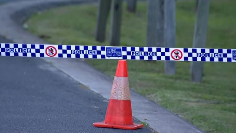 Man allegedly wearing tactical gear, carrying rifle shot dead by police