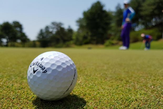 Golf club can install solar panels on its roof after plans with council ...