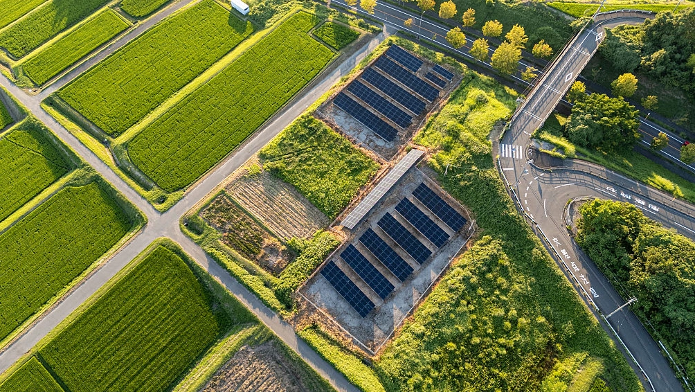 Solar farms show promise for cattle grazing and wildlife revival