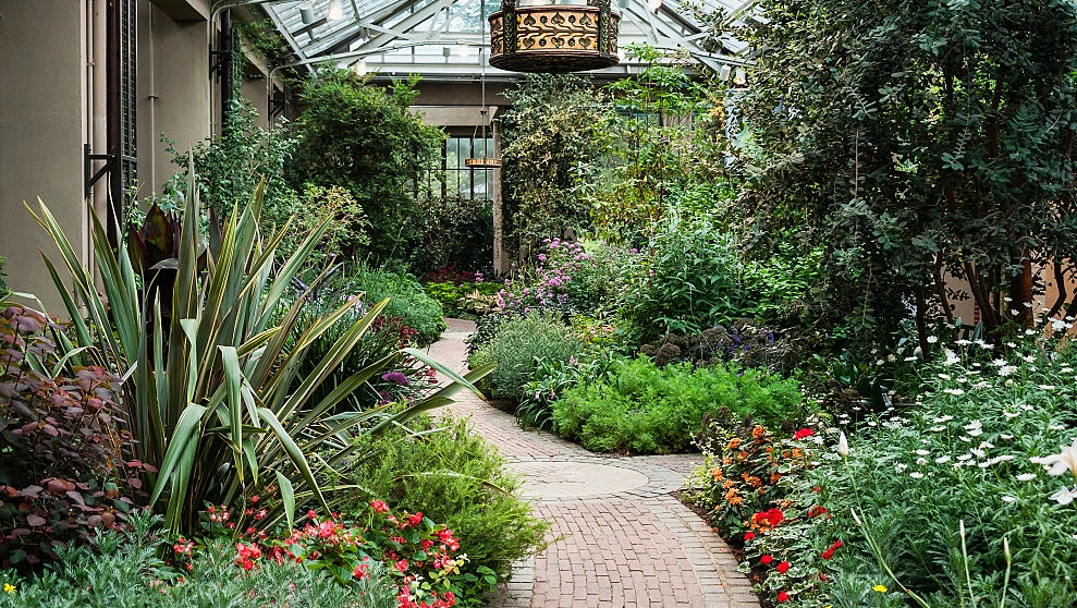 Why America is falling for native gardens