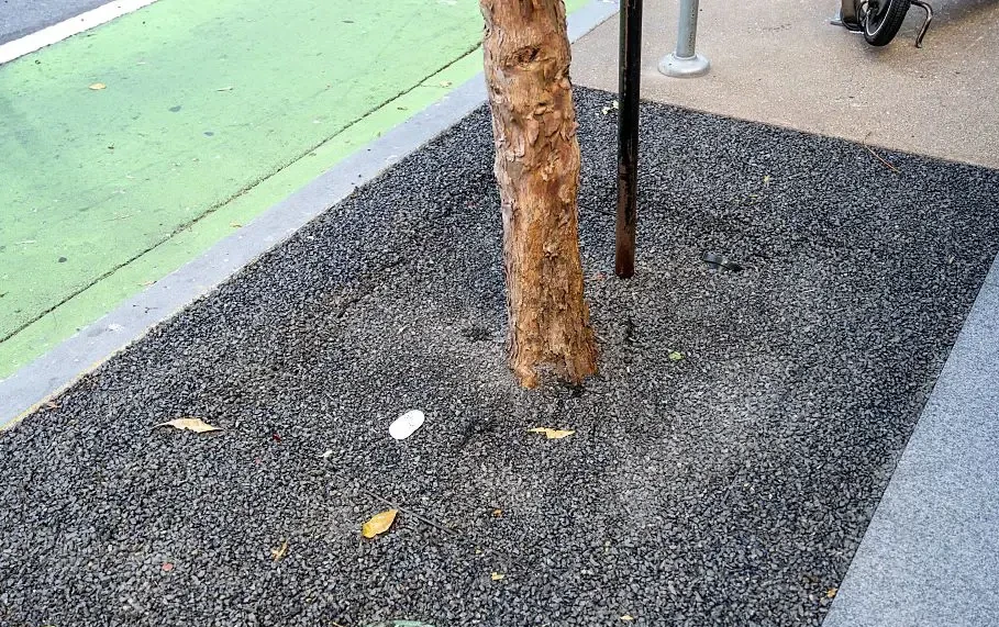 Smart tree planting to avoid root trouble