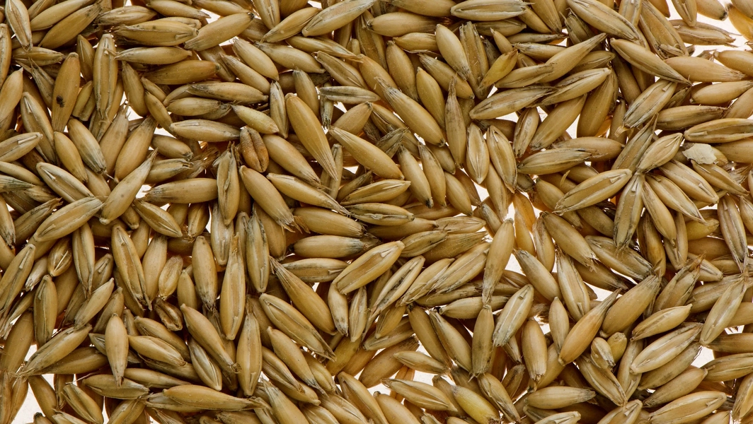 New studies link beans, beets, and oats to heart health gains