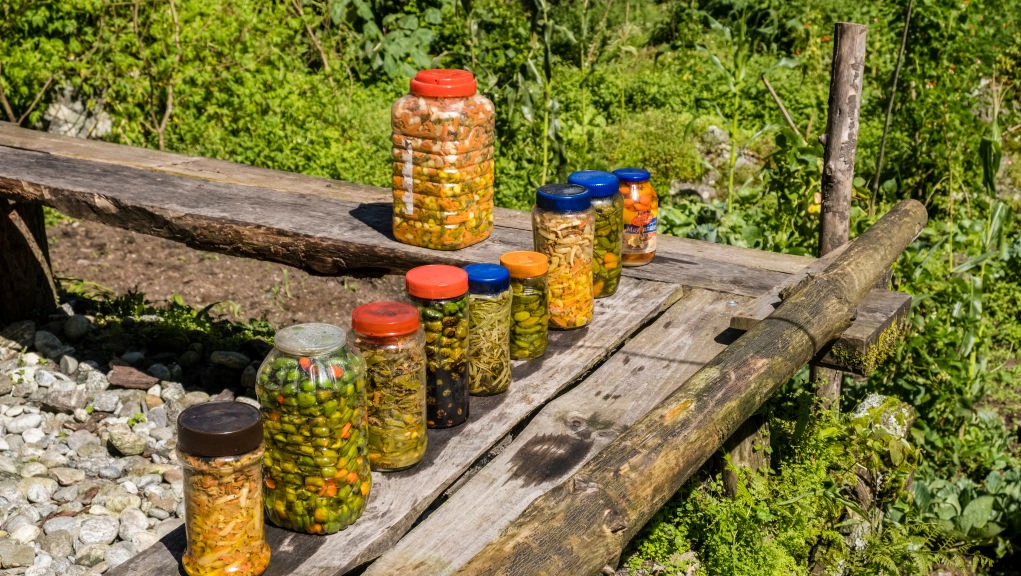 Fermented pickles for a happier gut life