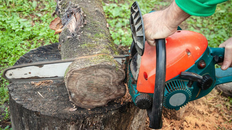 Forget pavers and gravel: This natural patio alternative looks way more ...