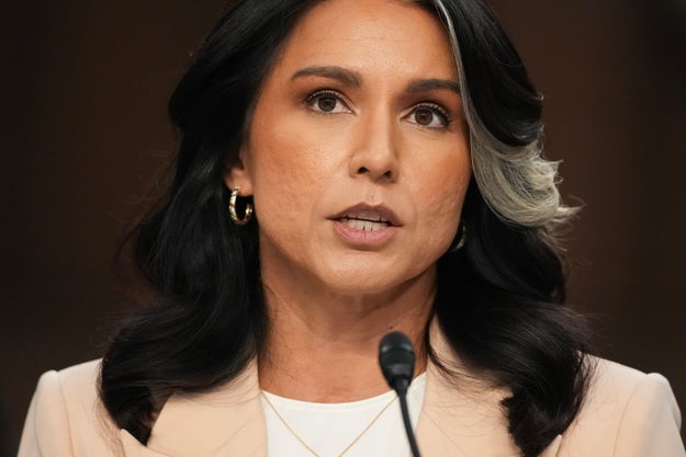 The internet has many thoughts on Tulsi Gabbard's resignation