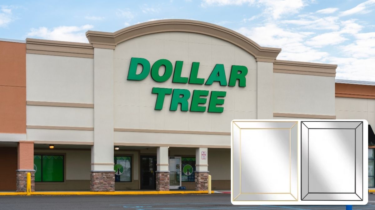 Dollar Tree is hiding art deco gems – have you spotted them?