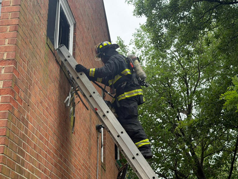 DC rowhome fire injures 1 firefighter, displaces 5 people, 1 cat