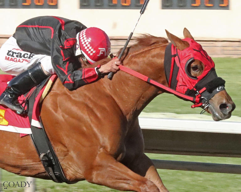 10 horses qualify for Ruidoso Futurity final in Albuquerque, New Mexico