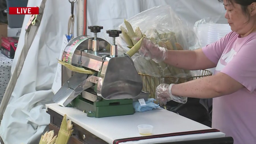 Fresh squeezed sugar cane juice steals the show at CelebrAsian