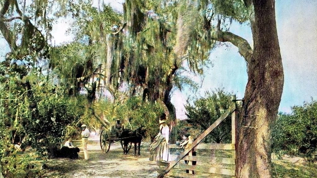 Ormond Beach adventures for your next Florida escape