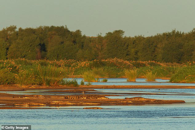 Bodies of two tourists found floating in croc-infested river at safari ...