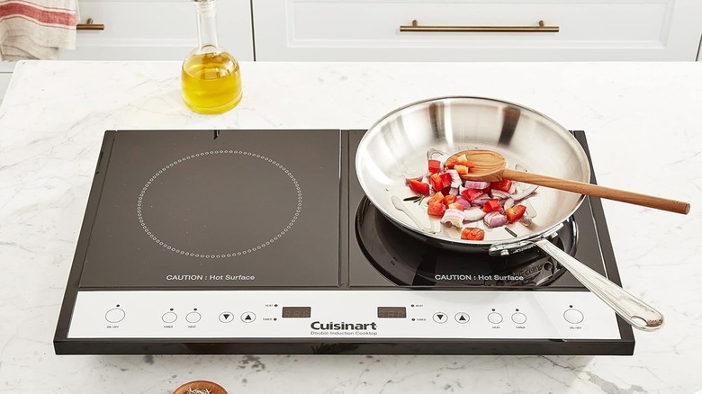 12 best portable induction cooktops, according to reviews