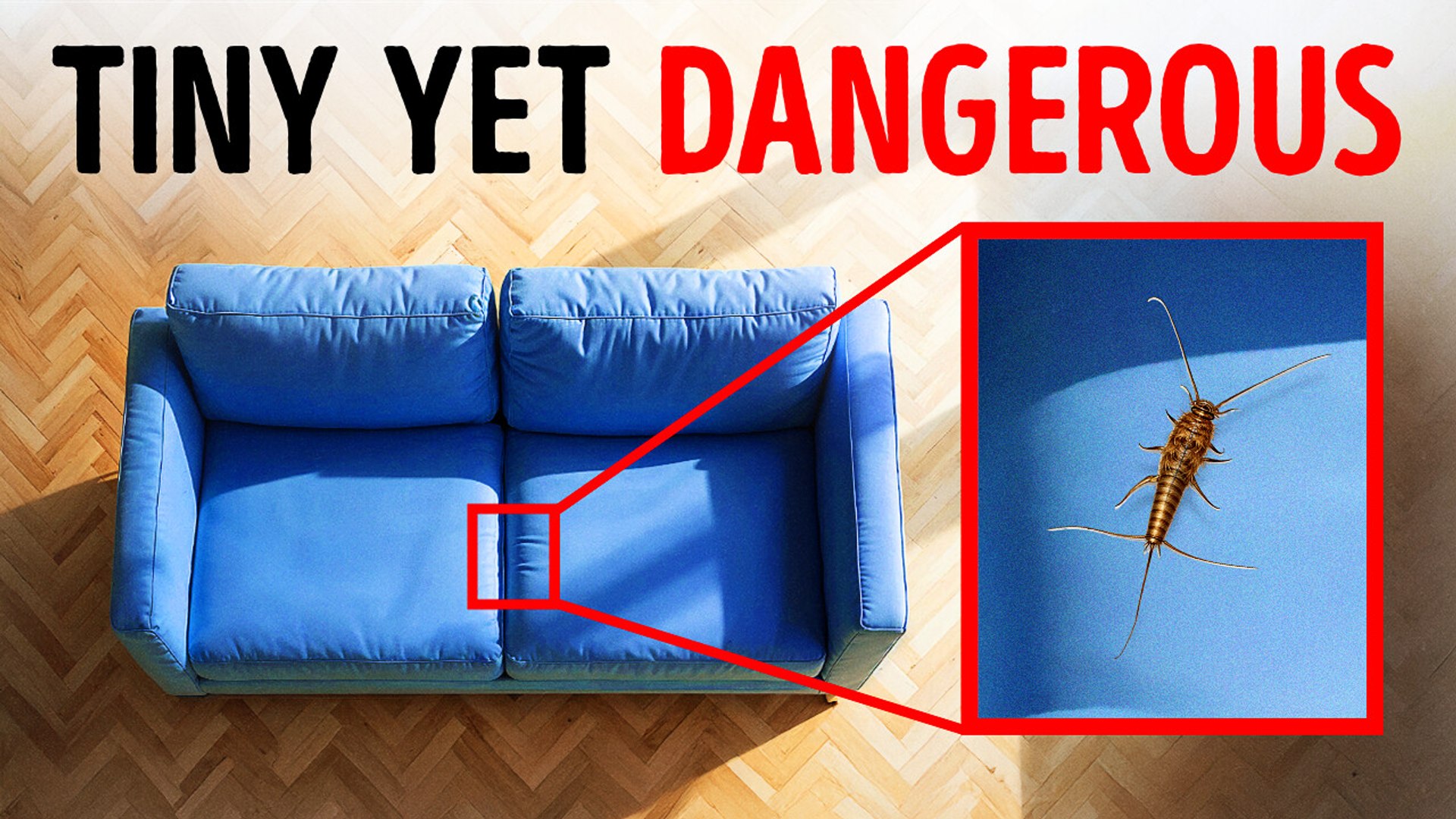 Important safety tips you need to know