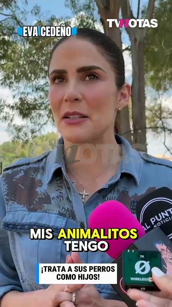 Eva Cedeño revela que sus perros ya tienen CURP 😱🐶 | ¿Perrhijos o mascotas?