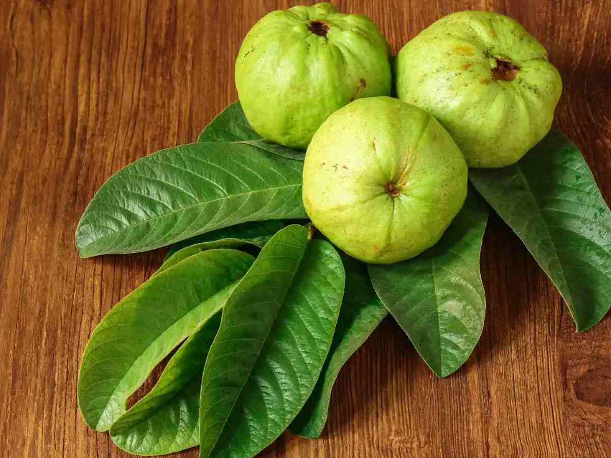 6 low-glycemic fruits that may help keep blood sugar stable