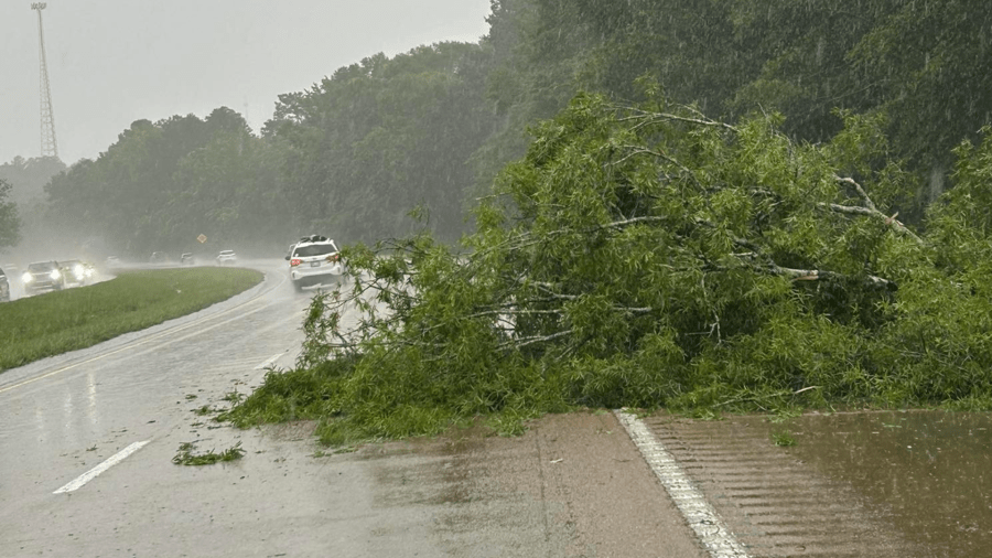 Tree falls on US 49 in Simpson County, causing delays