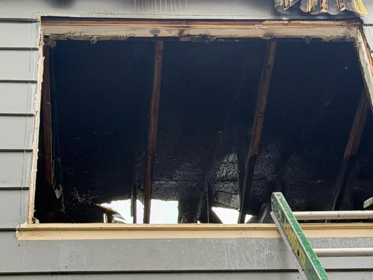 DC rowhome fire injures 1 firefighter, displaces 5 people, 1 cat