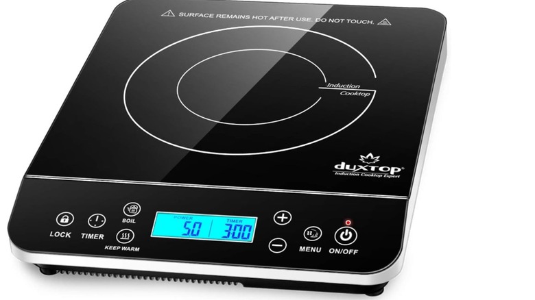 12 best portable induction cooktops, according to reviews